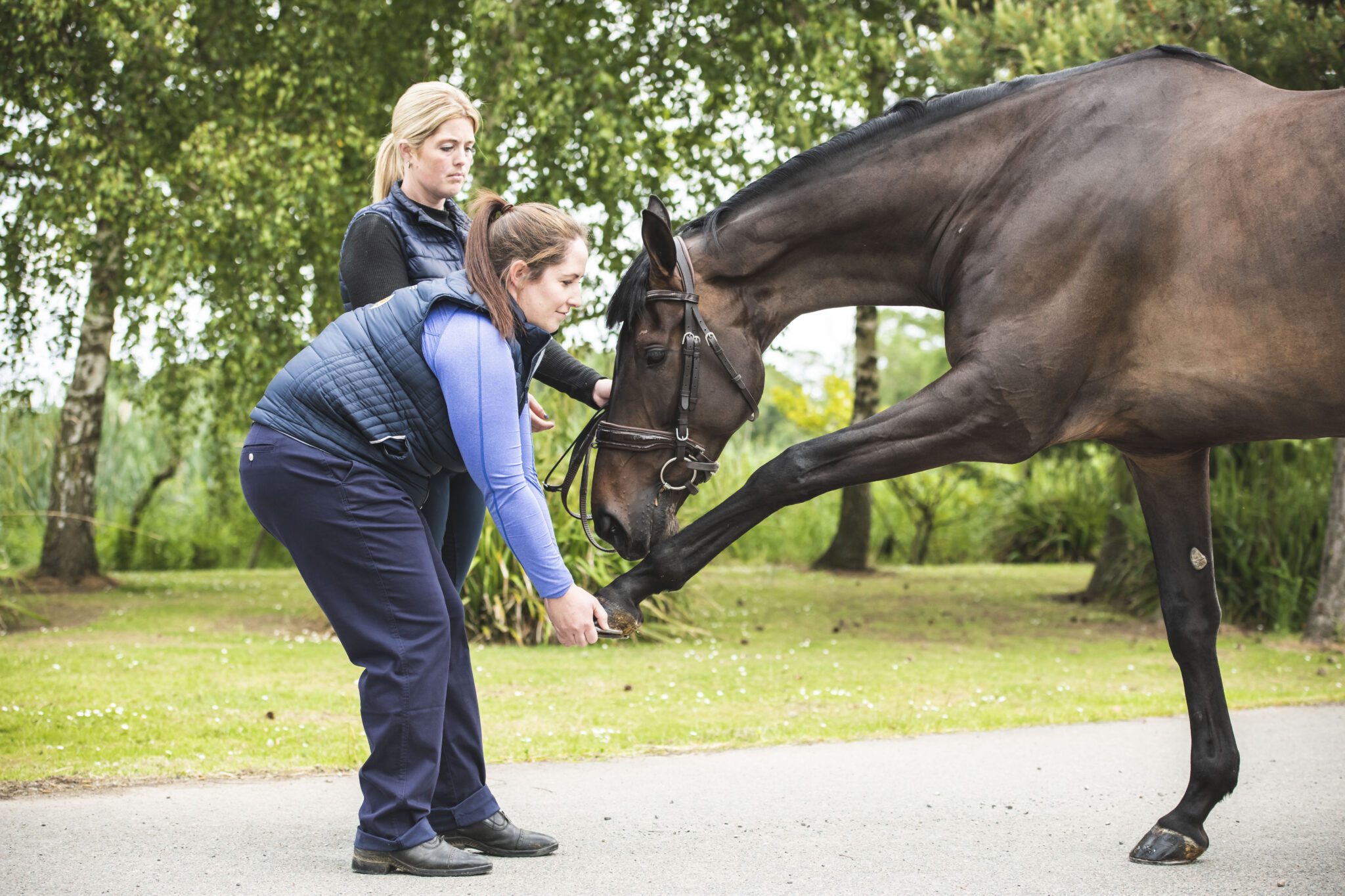 Three stretches to try at home with your horse. – Katie Dorman Equine ...